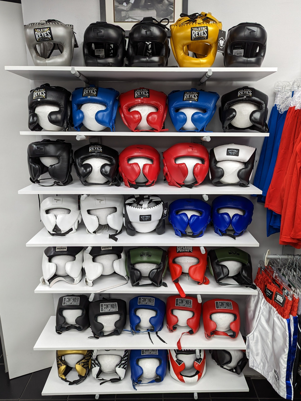 About Us | MSM Fight Shop | Tienda de MMA | Loja MMA | Miami | Orlando ...