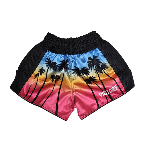 Victory Professional Fight Gear | Victory Boxing Equipment | Muay Thai ...