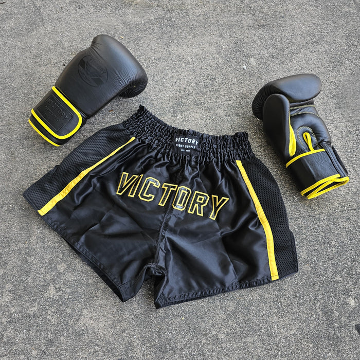Victory Professional Fight Gear | Victory Boxing Equipment | Muay Thai ...